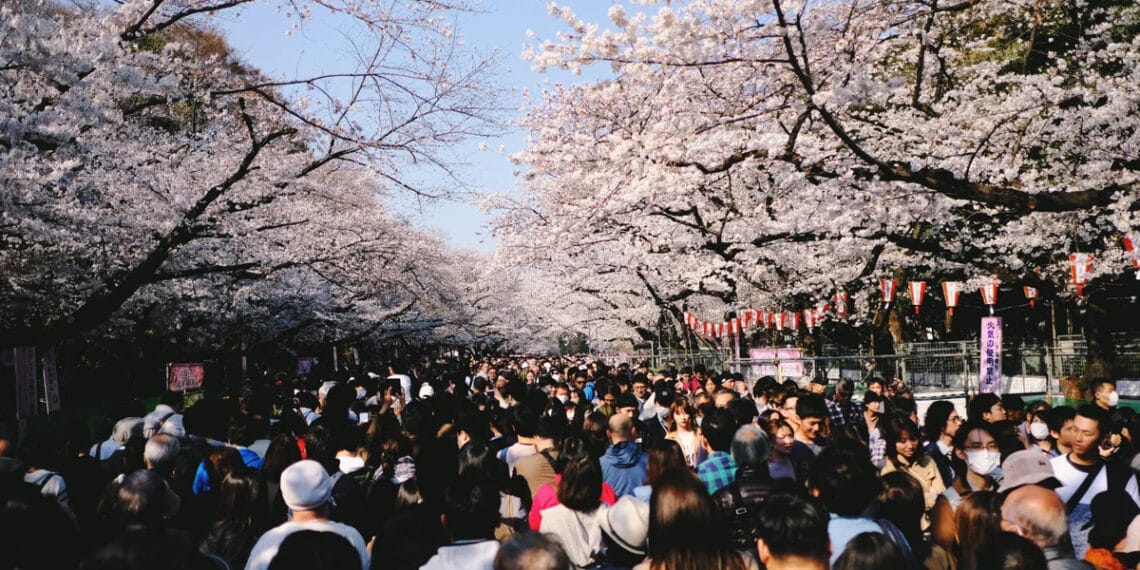 Exploring Cholo Culture in Japan: A Unique Blend of Mexican and ...